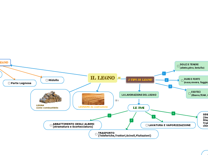 IL LEGNO - Mind Map